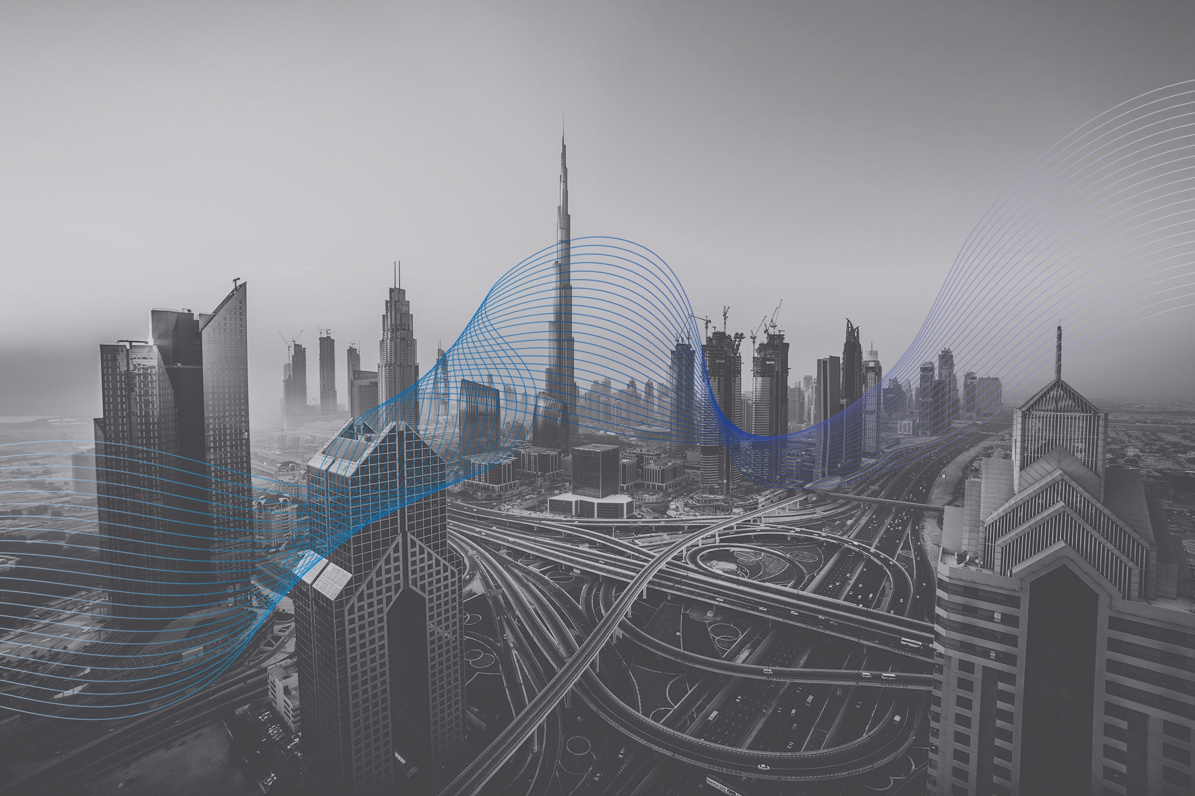 UAE: Common Purpose Boosts Trust | Edelman