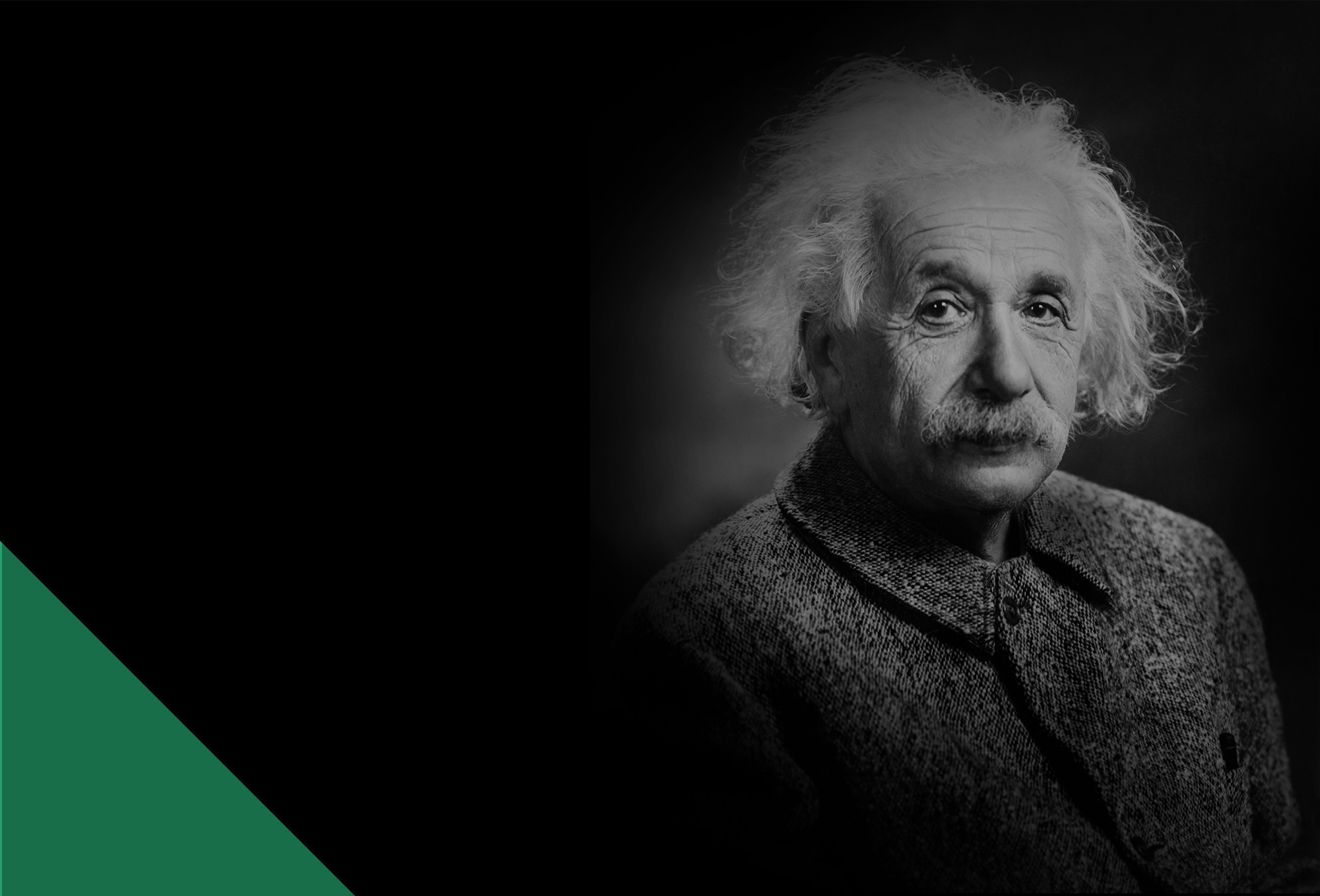 Einstein's Blocks | Edelman