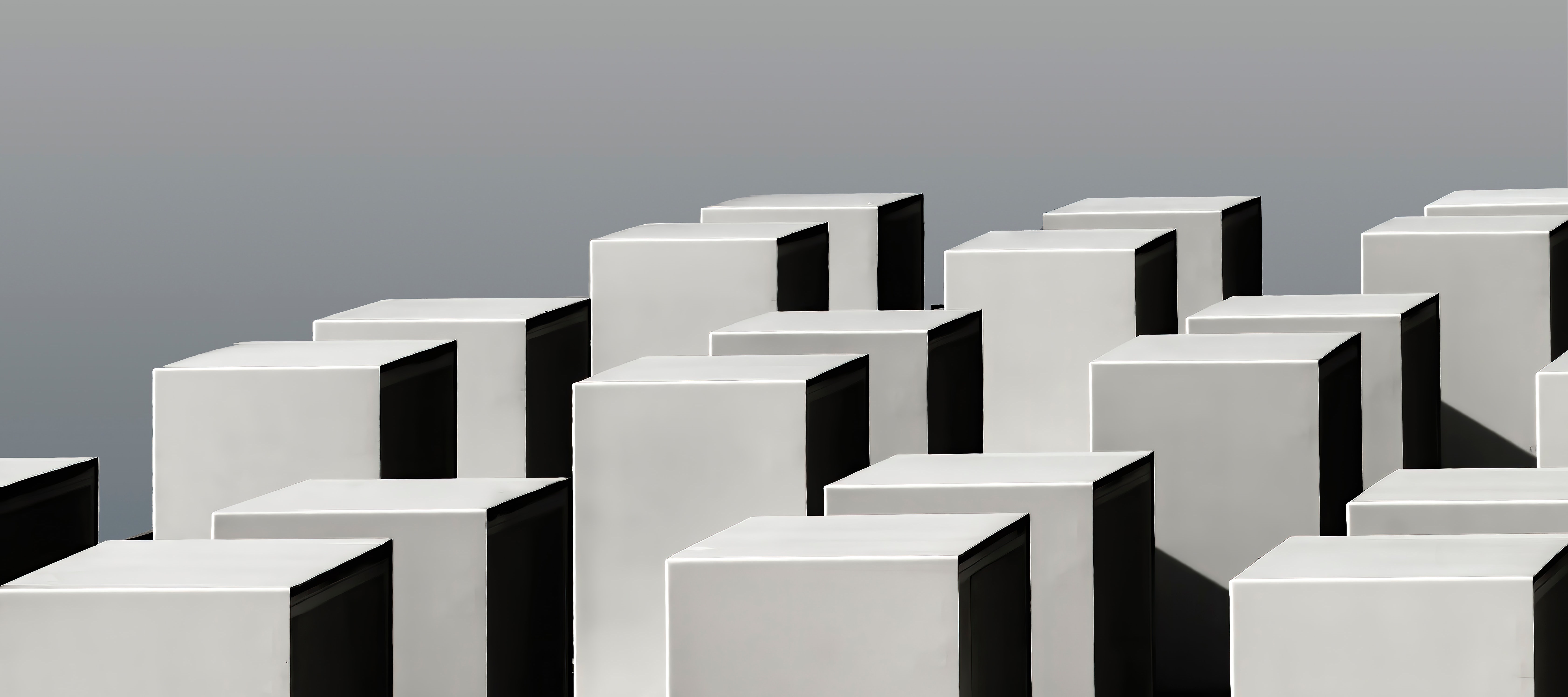 The Belief-Driven Employee | Edelman