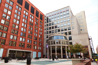 New Research by NYU Stern Center for Sustainable Business and Edelman ...